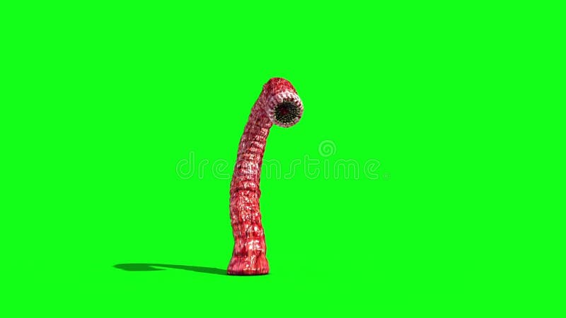 Monstrous Alien Worm Attacks Front Green Screen 3D Rendering Animation ...