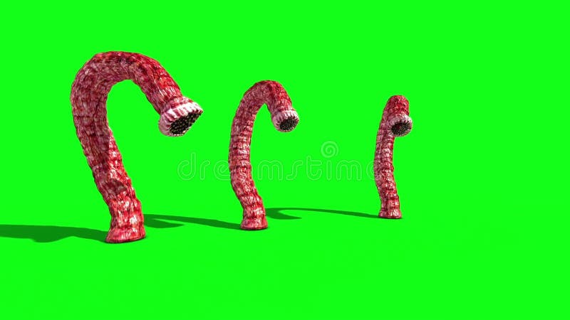 3 Monstrous Alien Worms Attack Green Screen 3D Rendering Animation ...