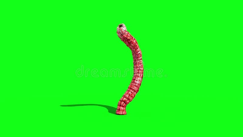 Monstrous Alien Worms Idle Front Green Screen 3D Rendering Animation ...