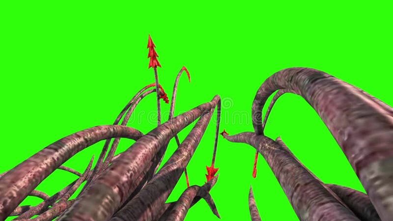 Monstrous Hooked Tentacles Back Green Screen 3D Rendering Animation ...