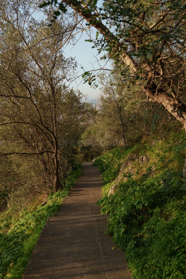 Mont Boron Trail Path for Walking or Hiking Stock Photo - Image of ...