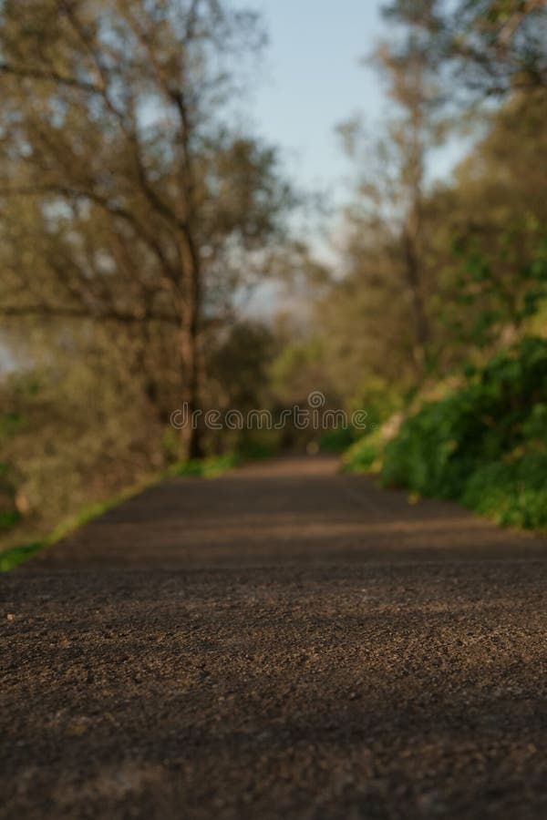 Mont Boron Trail Path for Walking or Hiking Stock Image - Image of ...