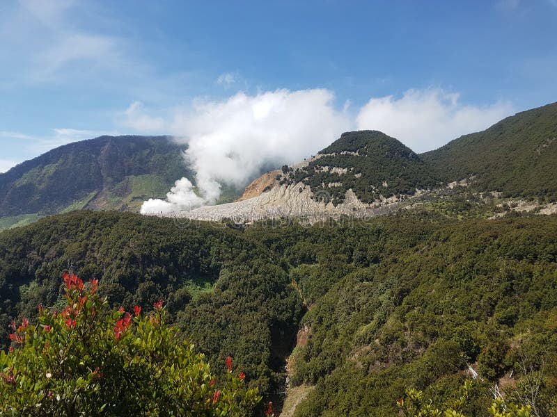 Mont Papandayan Est Java Indonesia Image stock - Image du java ... Mont Papandayan Est Java Indonesia Image stock - Image du java ...