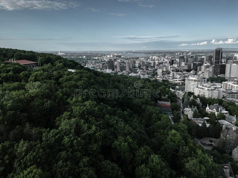 Mont Royal Park View Summer Stock Photo - Image of quebec, tree: 281998960