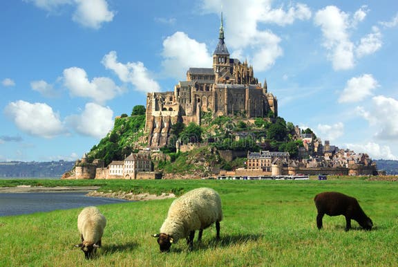 Mont Saint Michel stock image. Image of cathedral, mammal - 13228737