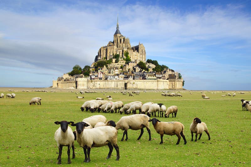 Mont Saint Michel stock image. Image of cathedral, mammal - 13228737