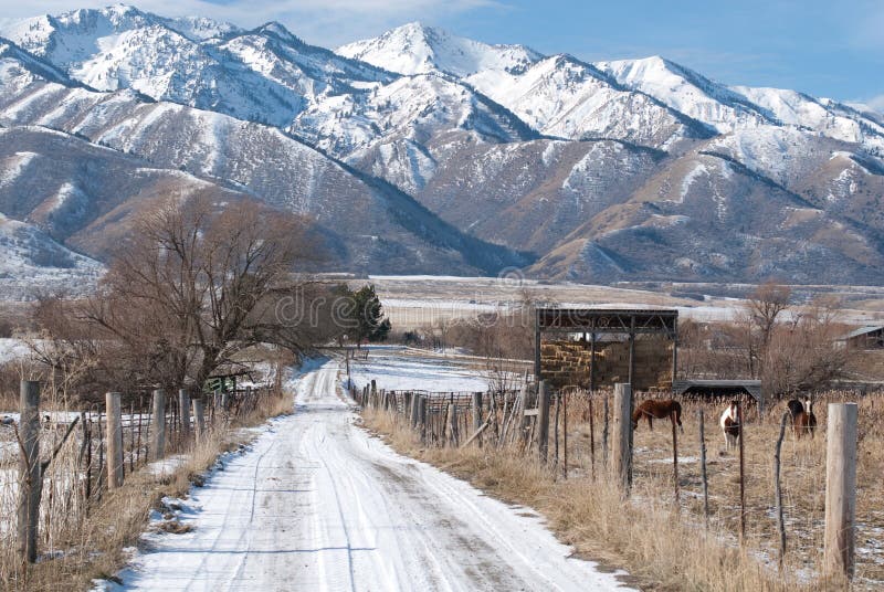 Montañas nevadas en Utah imagen de archivo. Imagen de caballos - 39170955