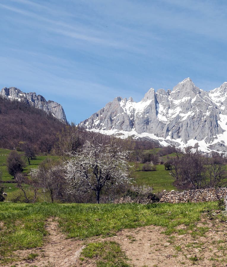 Montañas de Mogrovejo imagen de archivo. Imagen de bosque - 31306847