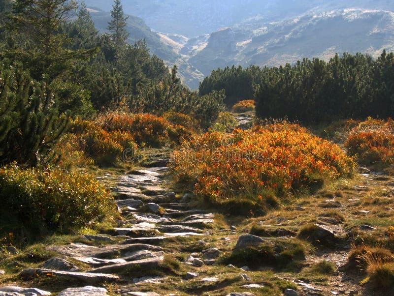 Montes Tatra En El Bello Paisaje De Polonia Imagen de archivo - Imagen ...