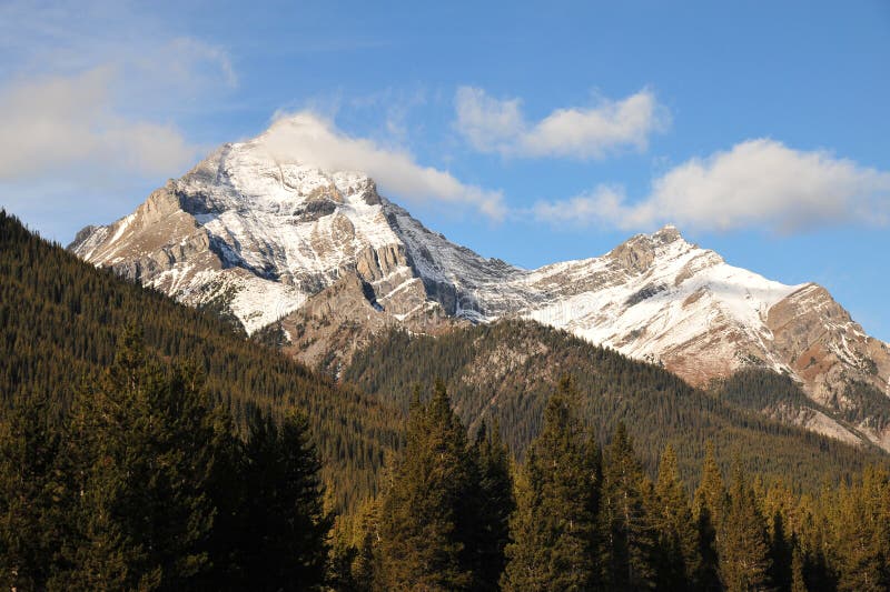 Montañas rocosas foto de archivo. Imagen de cubo, bosque - 7295666