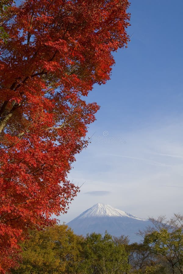 Montagem Fuji na queda XI imagem de stock. Imagem de outono - 7536959