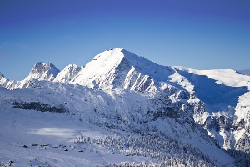 Montagna innevata fotografia stock. Immagine di alberi - 8058054