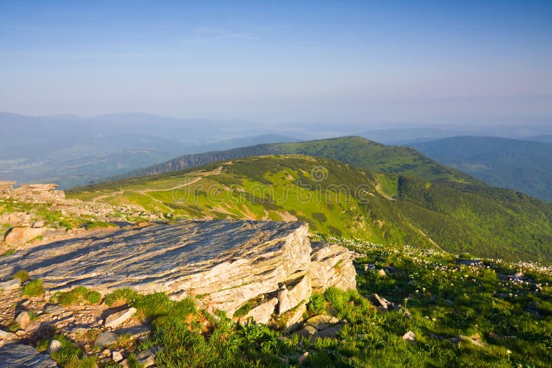 Montagne De Babia Gora, Pologne Photo stock - Image du gora, babia ...