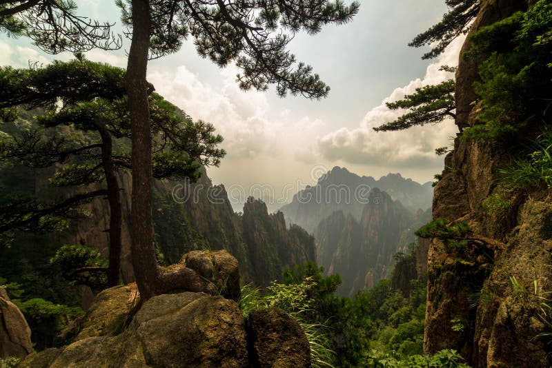 Montagne Di Huangshan, Cina Immagine Stock - Immagine di alberi, giro ...