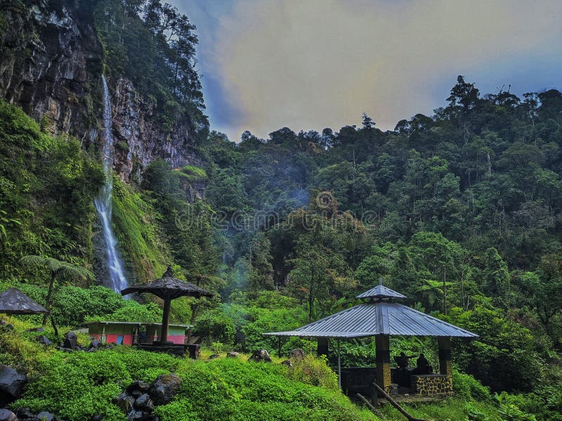 Montain Green Water High Tree Stock Photo - Image of tree, high: 223353000