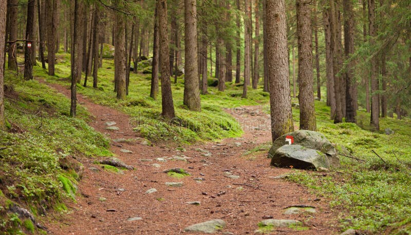 Path Splitting Woods Stock Photos - Free & Royalty-Free Stock Photos ...