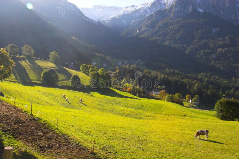 Montan@as Y Caballos Italianos Imagen de archivo - Imagen de vacaciones ...