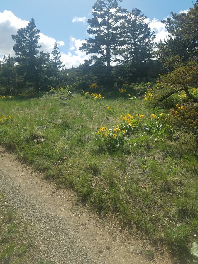 Land side stock photo. Image of montana, beautiful, land - 122399136