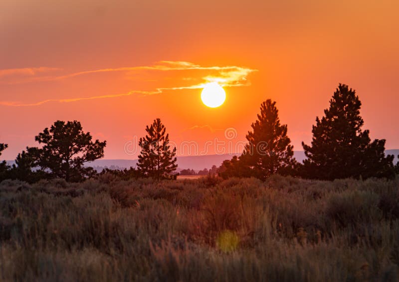 Sunset through Trees on Lake Stock Image - Image of mountains ...