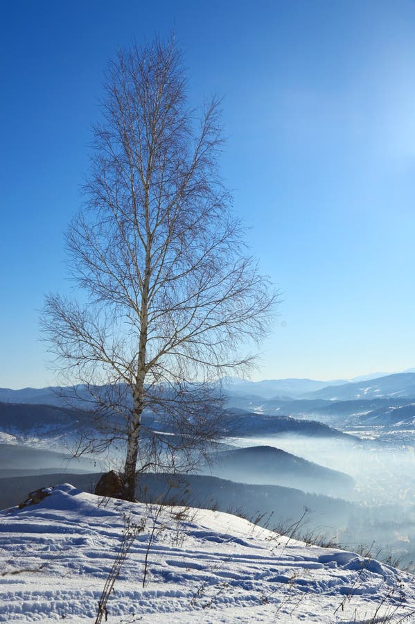 Montane landscape stock image. Image of snowboard, mountain - 7359057