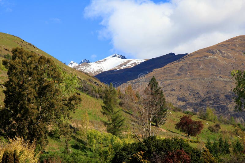 3,721 Ravinas Fotos - Fotos de Stock Gratuitas e Fotos Royalty-Free ...