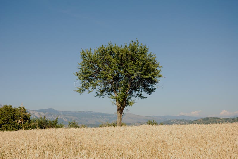 Montano Paesaggio стоковое изображение. изображение насчитывающей ...