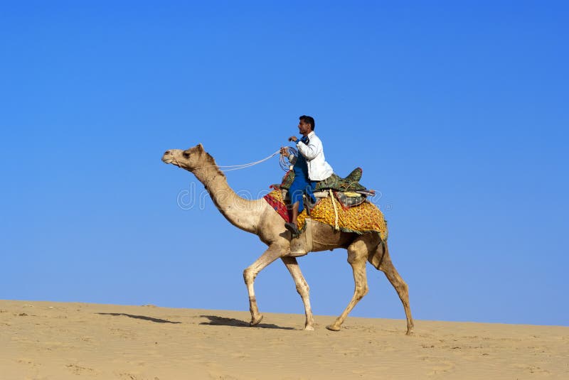 Montar a Caballo Del Camello, Desierto De Thar Imagen editorial ...