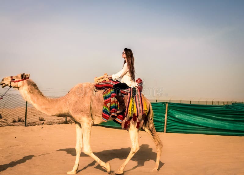 Montar a Caballo Del Camello En Kuwait Imagen editorial - Imagen de ...