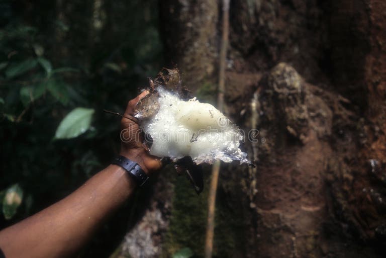 219 Alen 4k Stock Photos - Free & Royalty-Free Stock Photos from Dreamstime