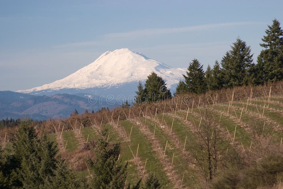 Monte a Capa Do Rio Da Capa Imagem de Stock - Imagem de leste, paisagem ...