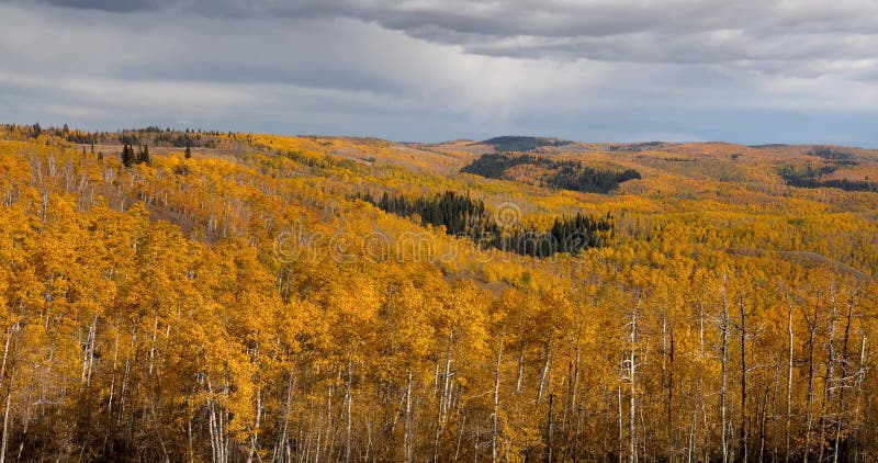 Monte Cristo Overlook in Utah during Peak Autumn Time Stock Footage ...