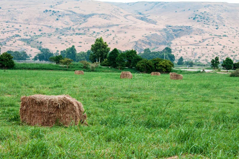 Monte de feno imagem de stock. Imagem de azul, ambiente - 30516881