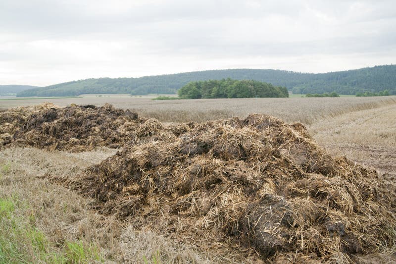 Monte do estrume foto de stock. Imagem de nave, cultivar - 18835866