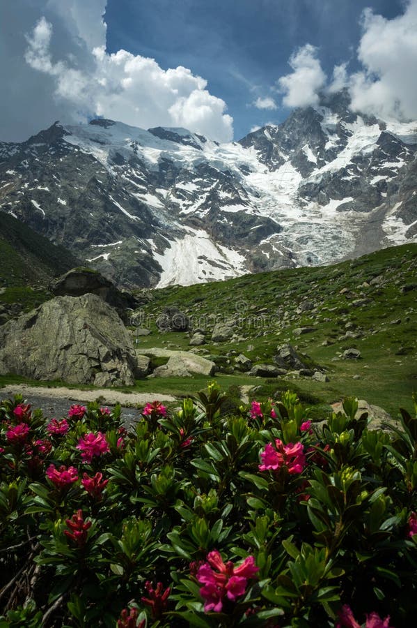 Monte rosa stock image. Image of view, mountain, rock - 182505463