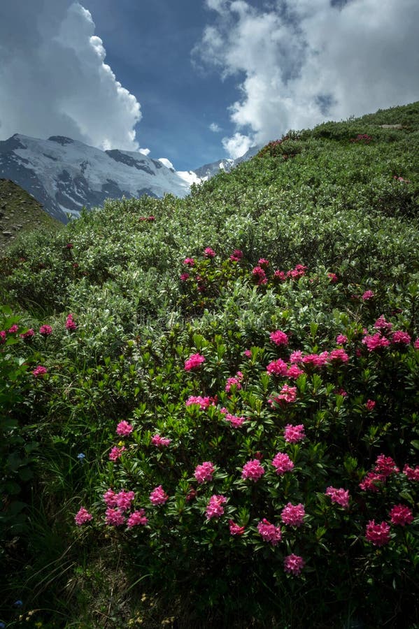 Monte rosa stock image. Image of italy, landscape, stone - 182930739