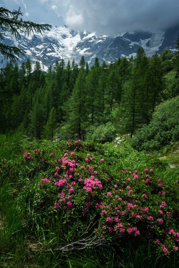 Monte rosa stock photo. Image of mountains, italy, outdoor - 182930744