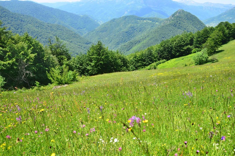 Alpi Di Dinaric, Maglic 2 386 M. N M. Cima Della Bosnia-Erzegovina ...