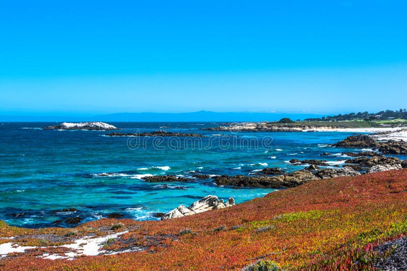 Monterey coast, California stock image. Image of monterey - 60751399