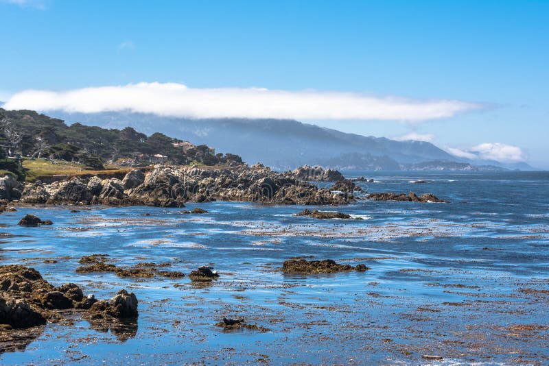 Monterey coast, California stock photo. Image of blue - 63009062