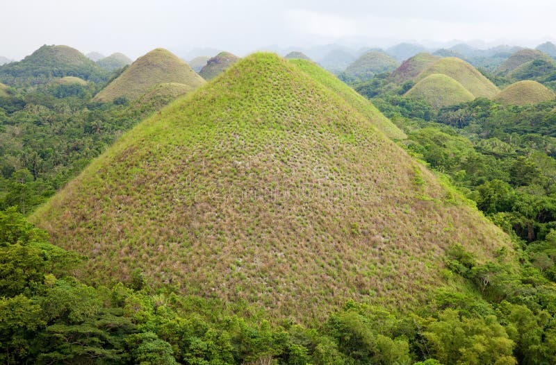 Montes Do Chocolate Em Bohol Imagem de Stock - Imagem de naughty, nave ...