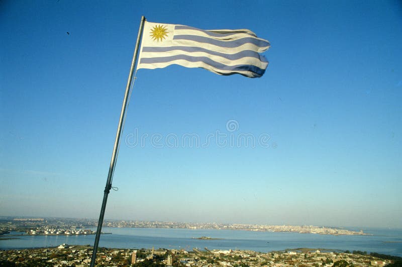 Uruguayan flag flying stock photo. Image of uruguay - 258906464