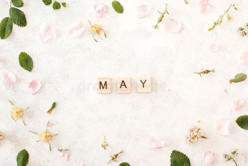 Month of May - White Background with Rose Petals and Leaves. Spring ...