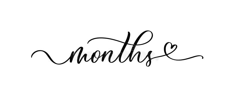 Months Continuous Line Cursive Text. Lettering Script Vector ...