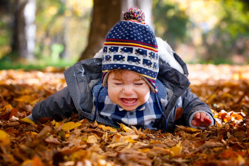 8 Months Old Boy in the Fall Stock Image - Image of autumn, fall: 62879047