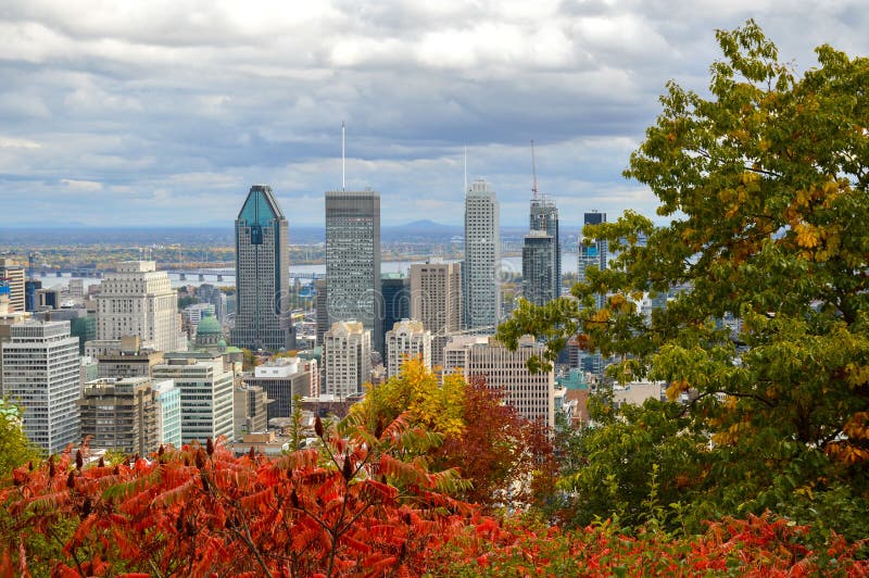 Montreal Skyline in fall stock photo. Image of centre - 83053862