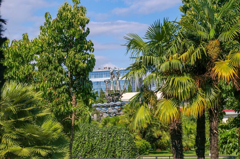 Monument in Sochi with Palm Trees on the Sides Stock Photo - Image of ...