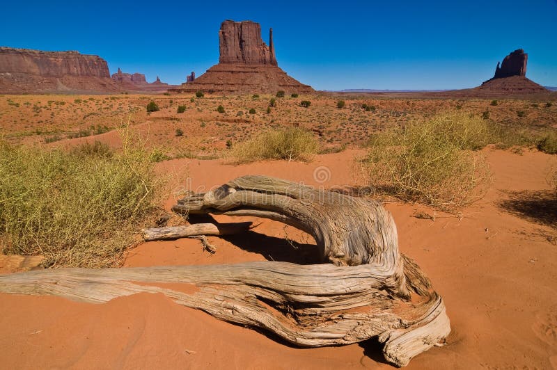 Monument Valley stock image. Image of america, bush, formation - 5400313