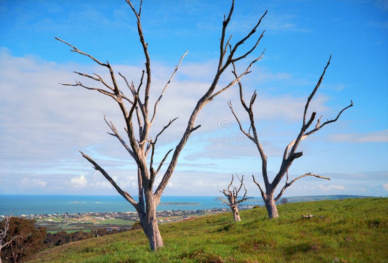 Monuments of time stock photo. Image of grass, weathered - 26381944