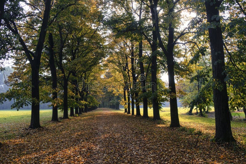 Monza Italy: the Park at Fall Stock Image - Image of outdoor, park ...