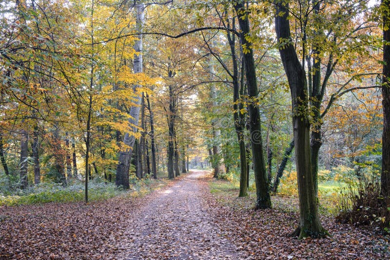 Monza Italy: the Park at Fall Stock Photo - Image of outdoor, natural ...